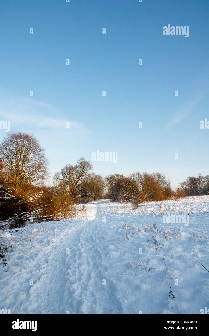 A footpath covered in snow with trees in the background Stock Photo - Alamy