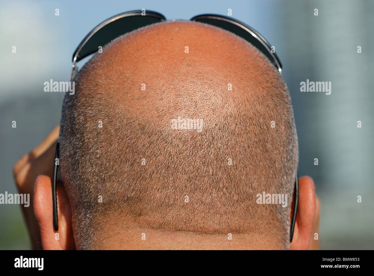 Close up of the back of a bald mans head, with sun glasses resting on ...