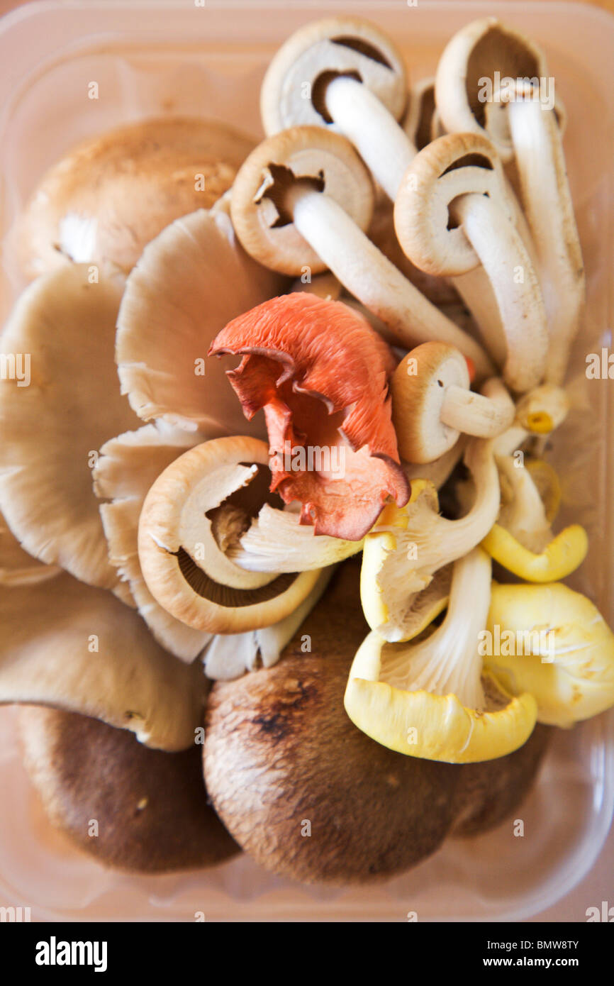 Punnet of mushrooms hi-res stock photography and images - Alamy