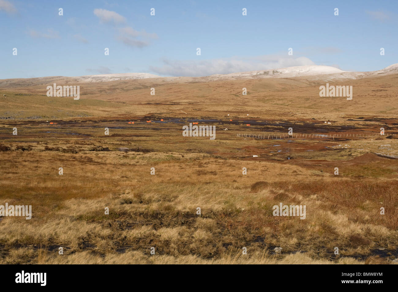 Peatland restoration at Wain Fignen Felen, Bannau Brycheiniog National ...