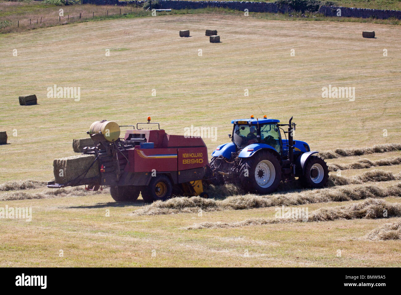 Blue Farm tractor and hay baler collecting hay on windrows, Farming in ...