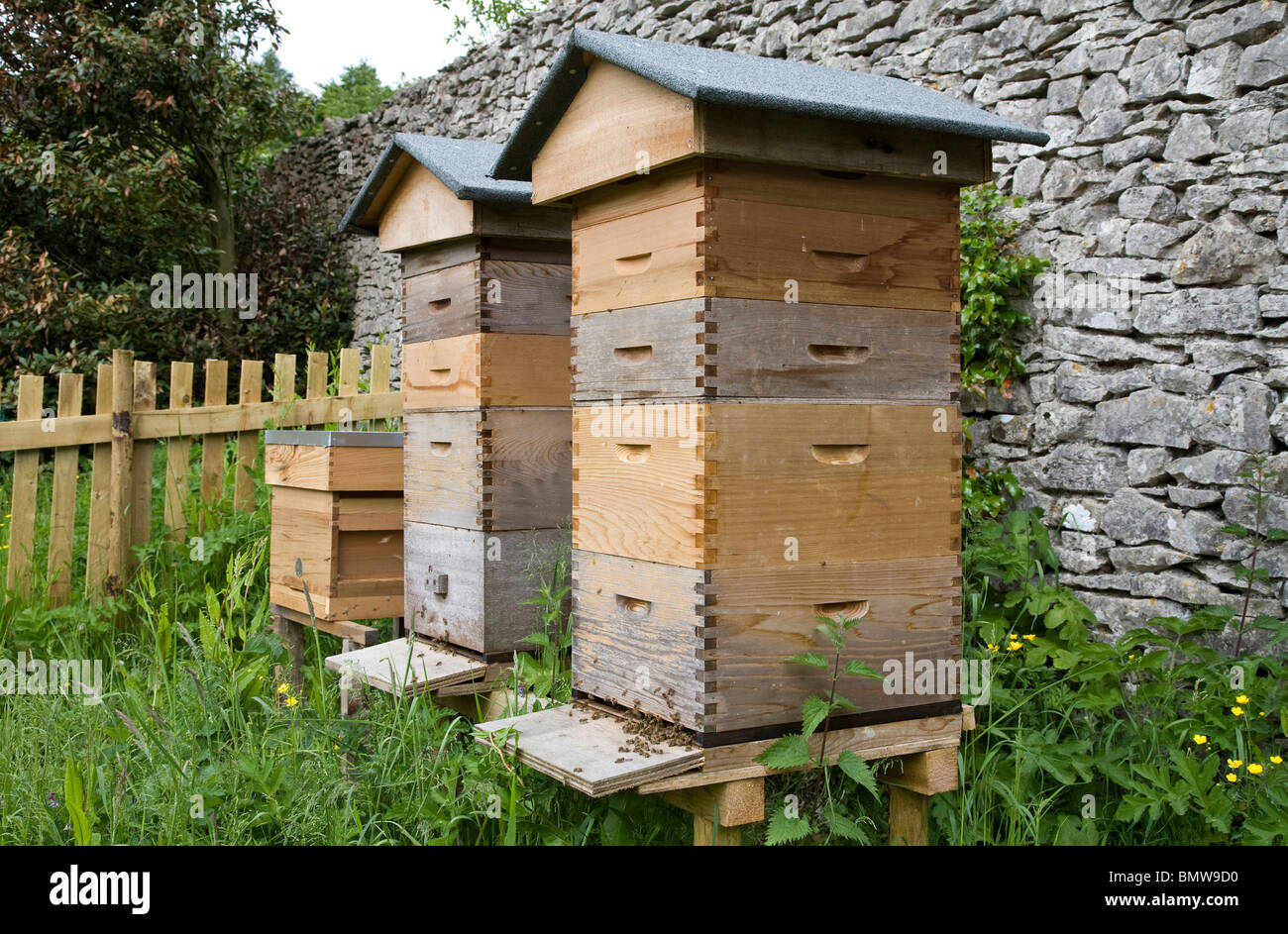 Hives for honey bees hi-res stock photography and images - Alamy