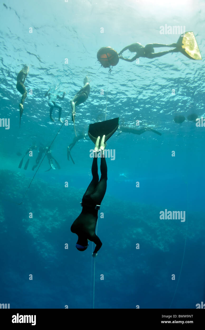 Freediver starts his dive from the surface, while others a dive around ...