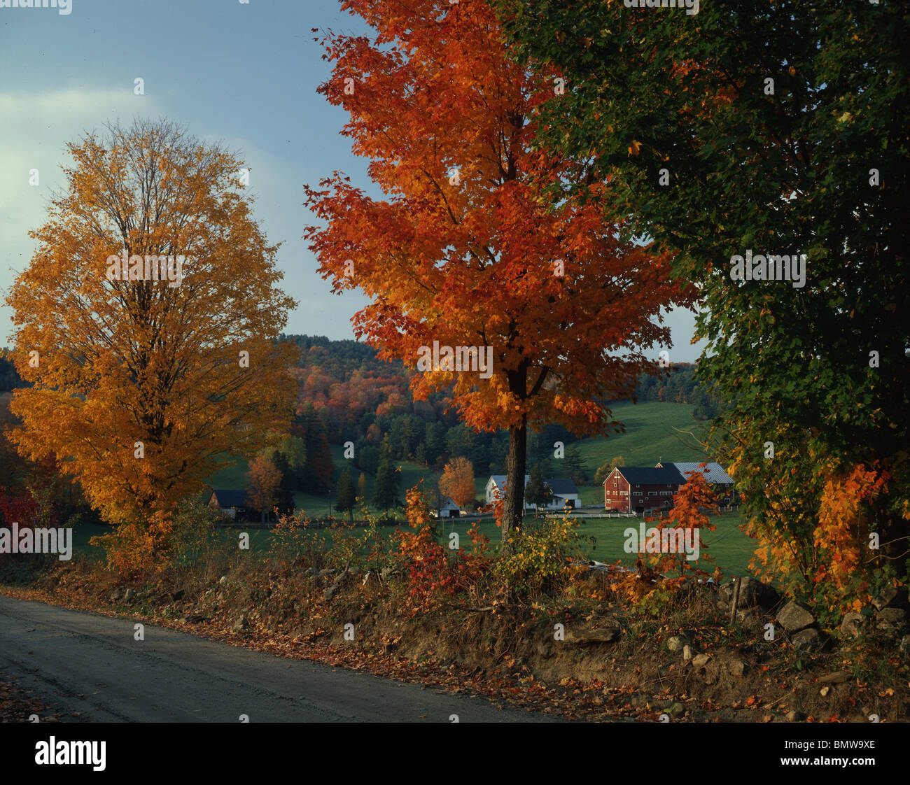Barnet Vt High Resolution Stock Photography and Images - Alamy