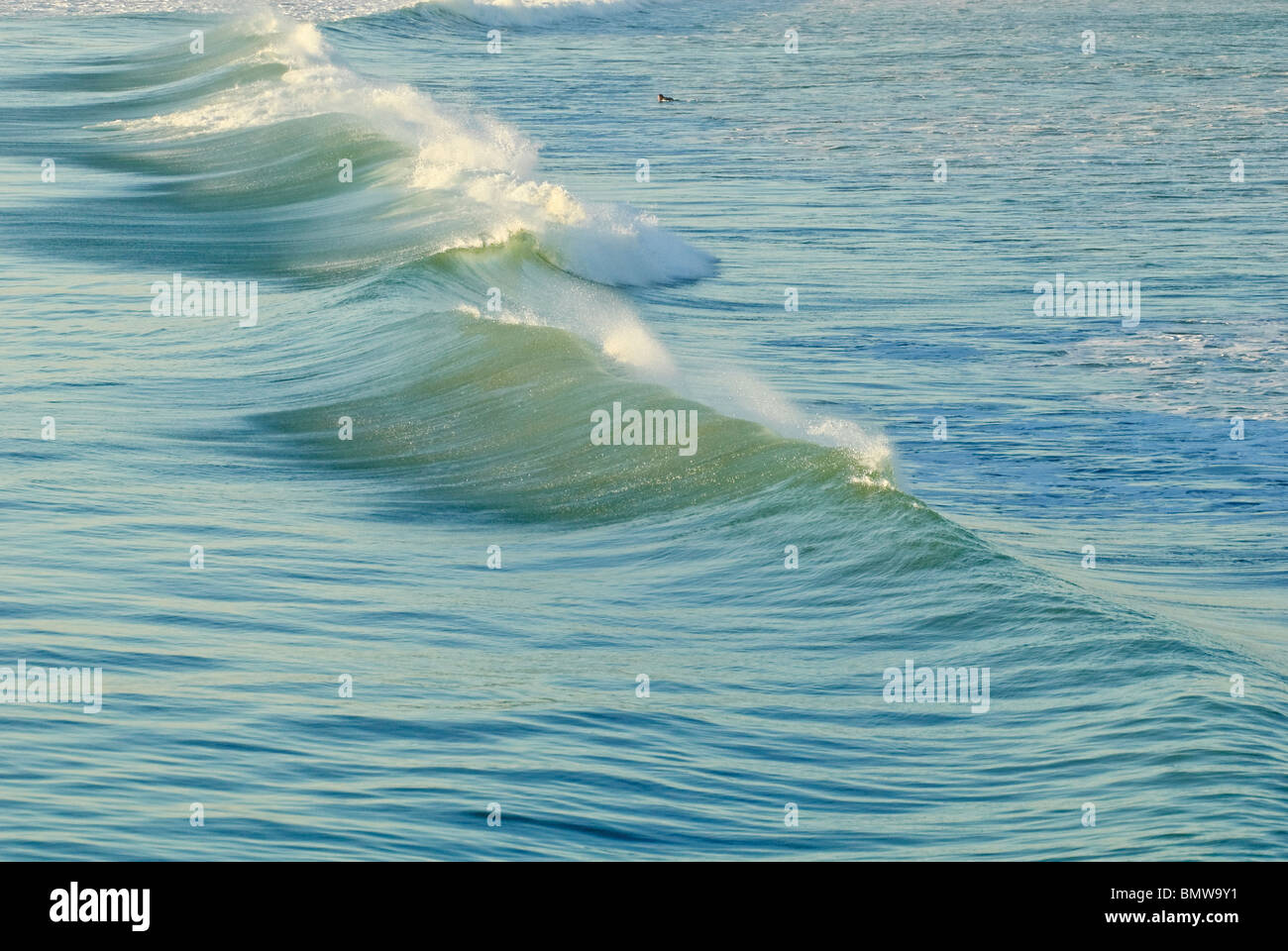 Usa beach waves hi-res stock photography and images - Alamy
