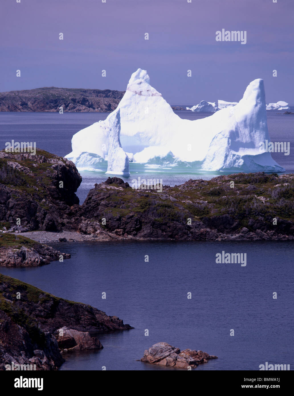 Iceberg off Newfoundland Coast Stock Photo - Alamy