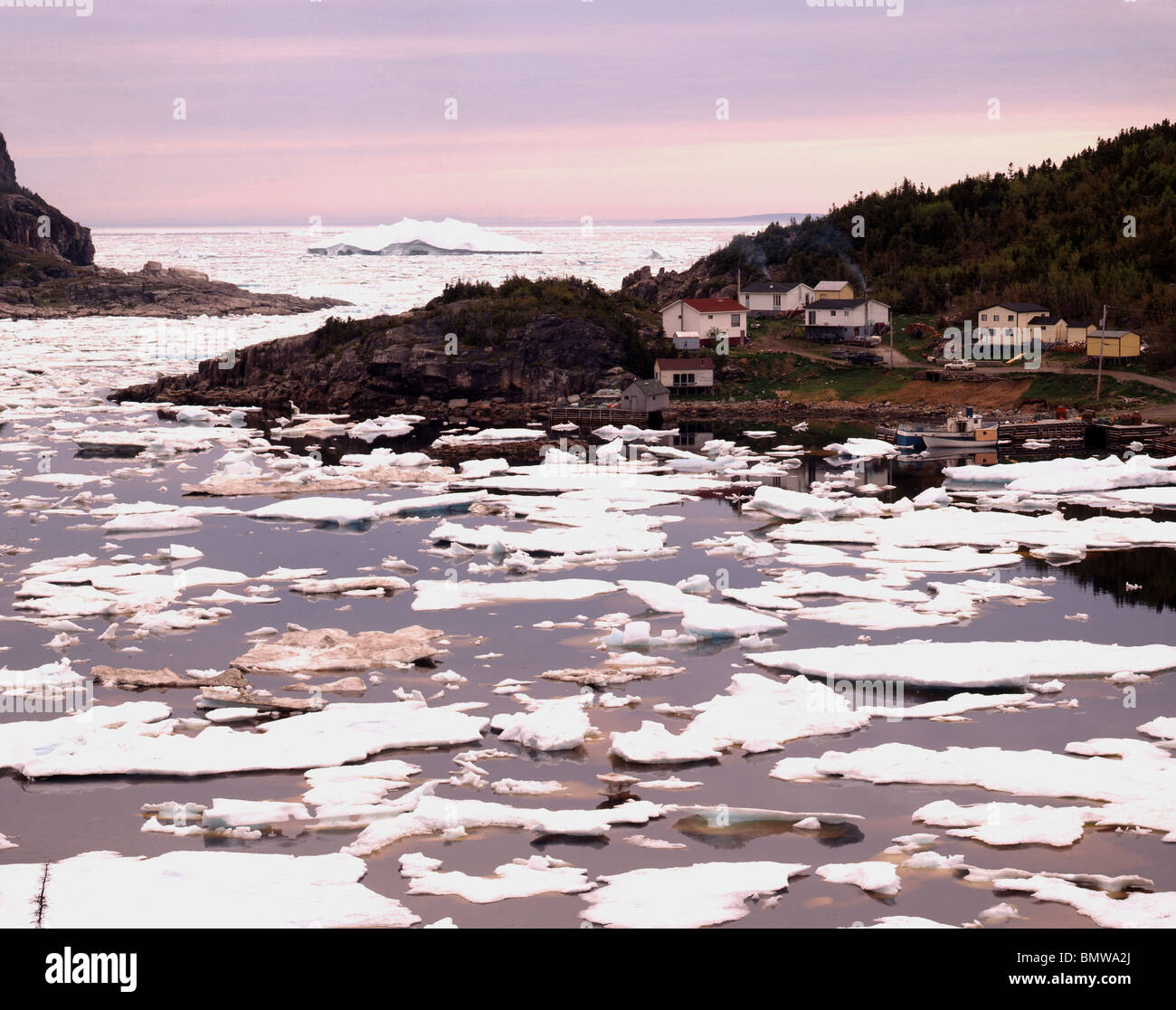 Ice Floating in Harbor, Newfoundland Stock Photo - Alamy