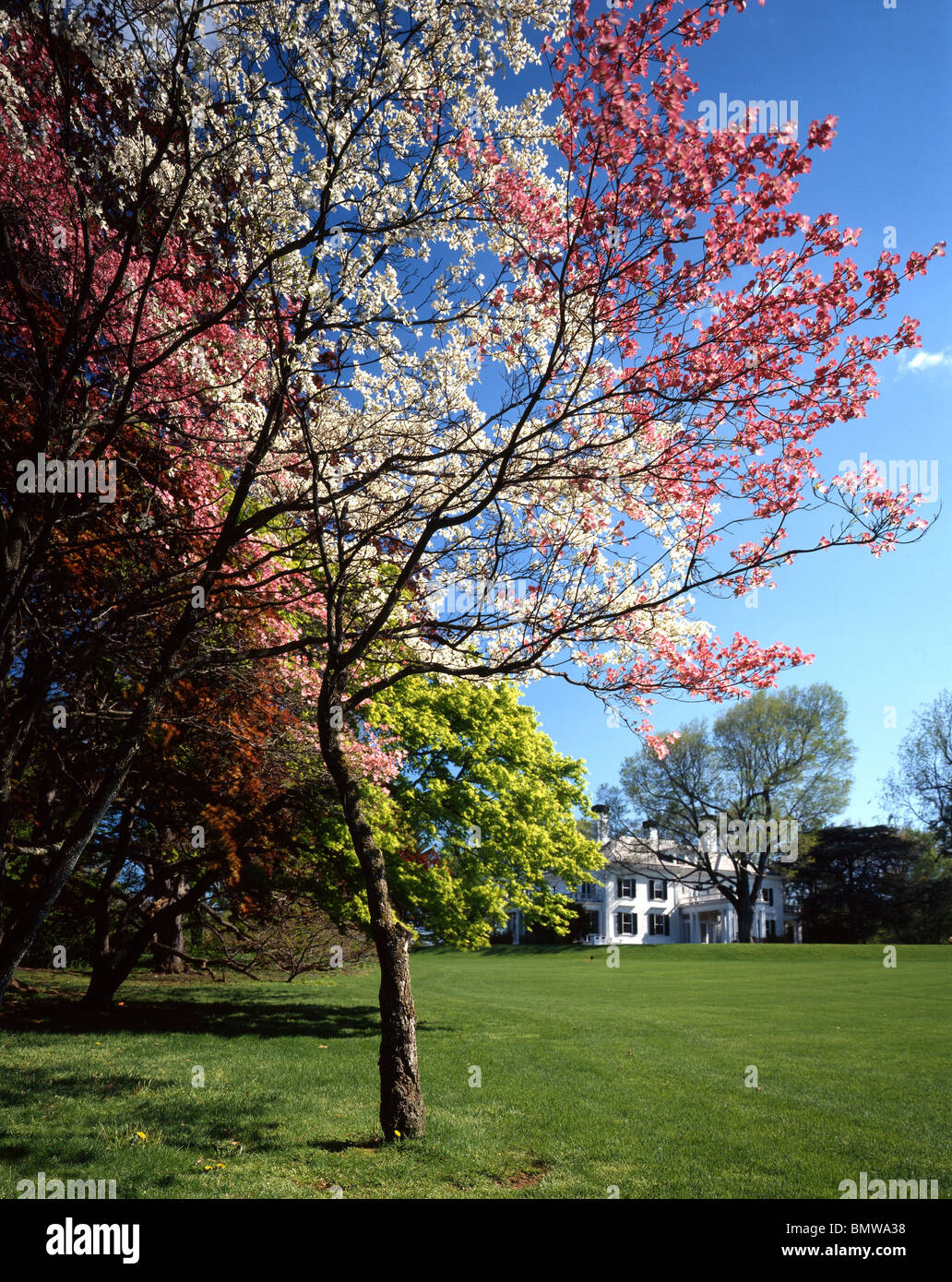 White mansion hi-res stock photography and images - Alamy