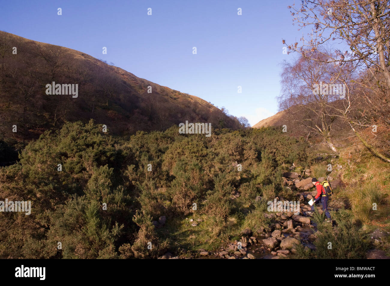 Swansea valley hi-res stock photography and images - Alamy