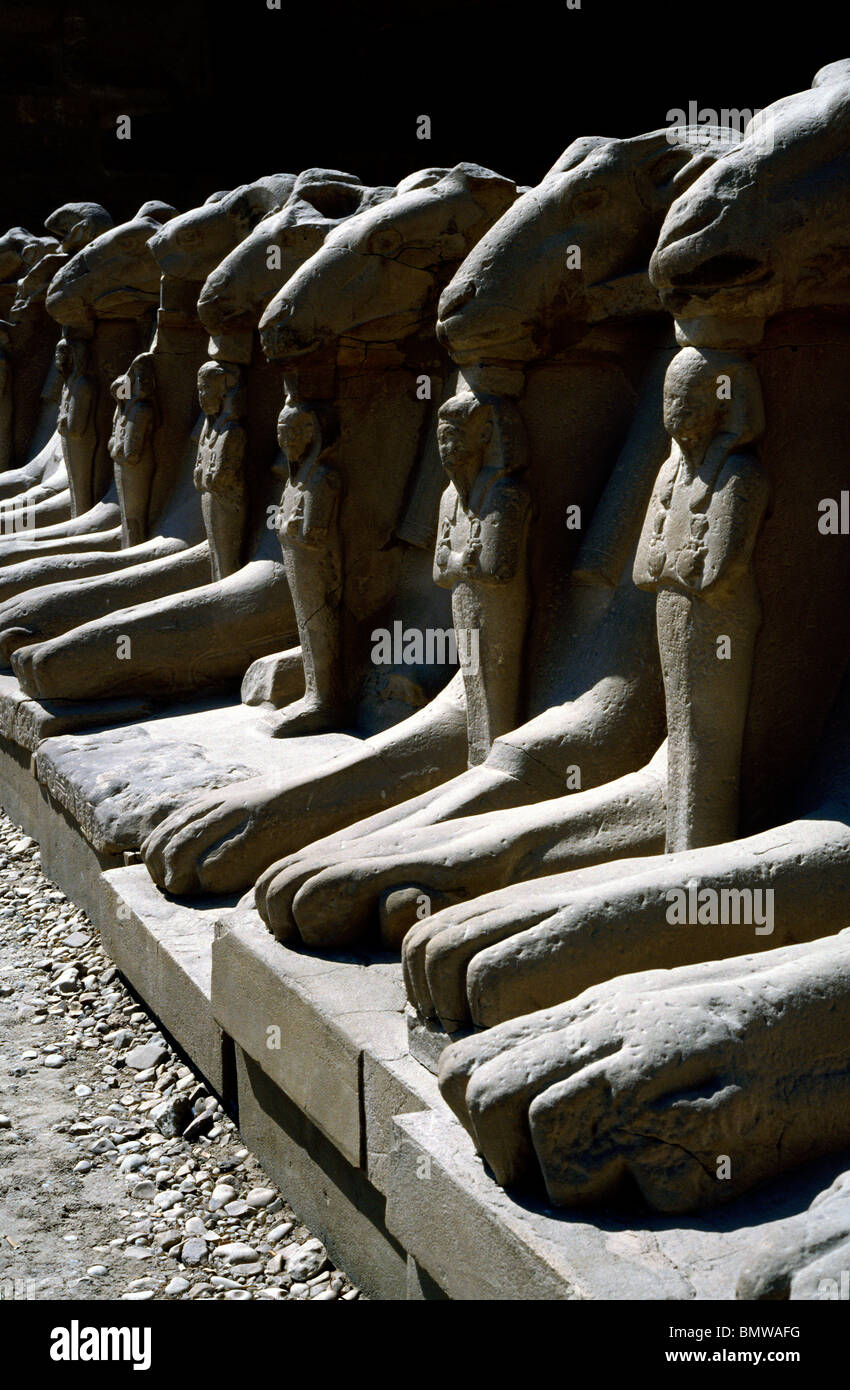 Ram headed sphinx statue hi-res stock photography and images - Alamy