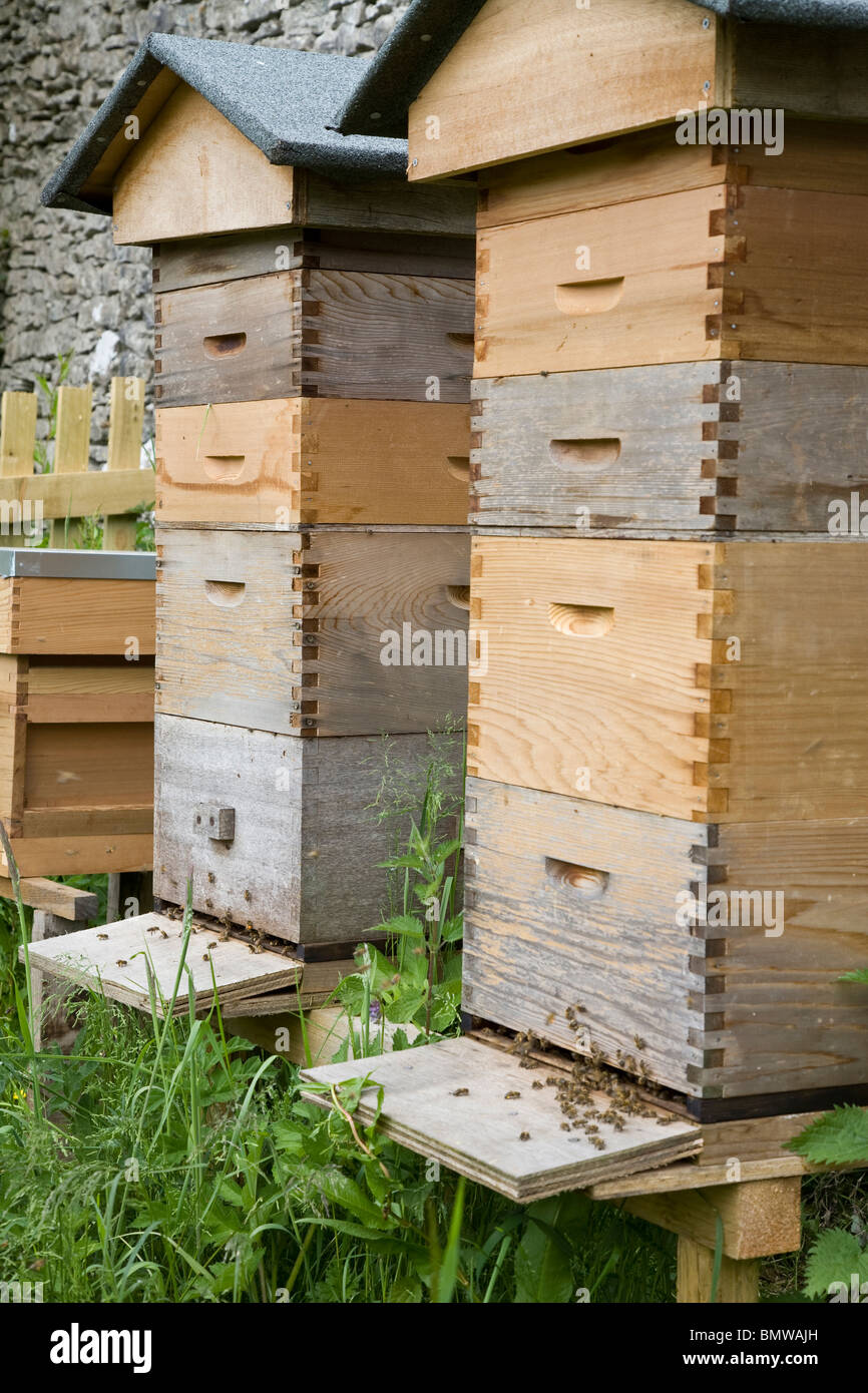 Hives for honey bees hi-res stock photography and images - Alamy