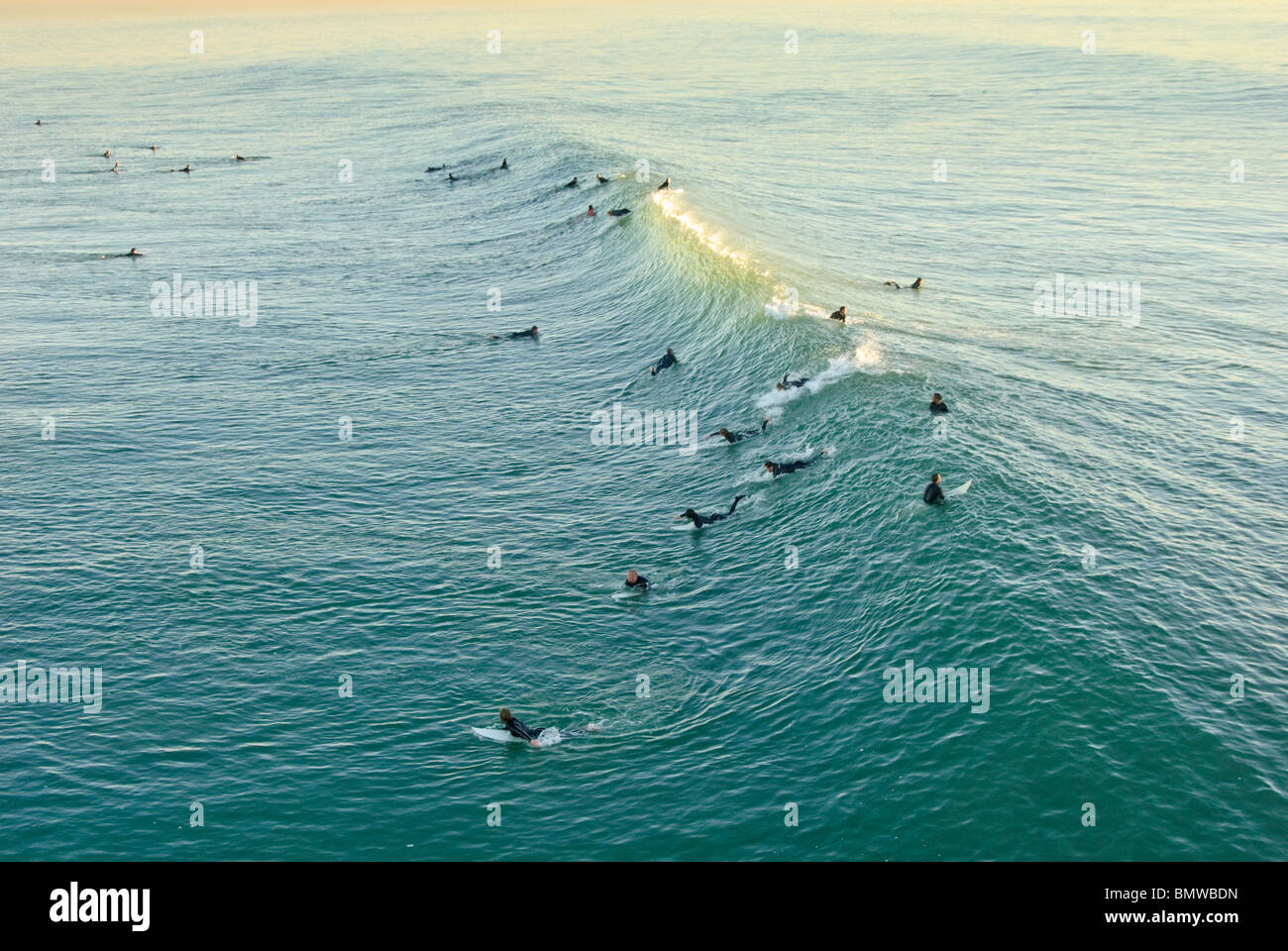 Huntington beach surf city hi-res stock photography and images - Alamy