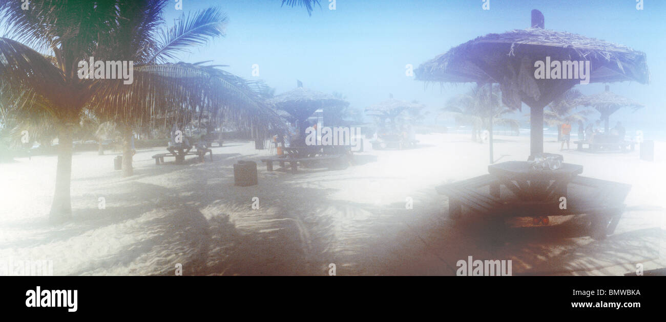 Dubai UAE Jumeira Beach Park Summer Humidity Stock Photo - Alamy
