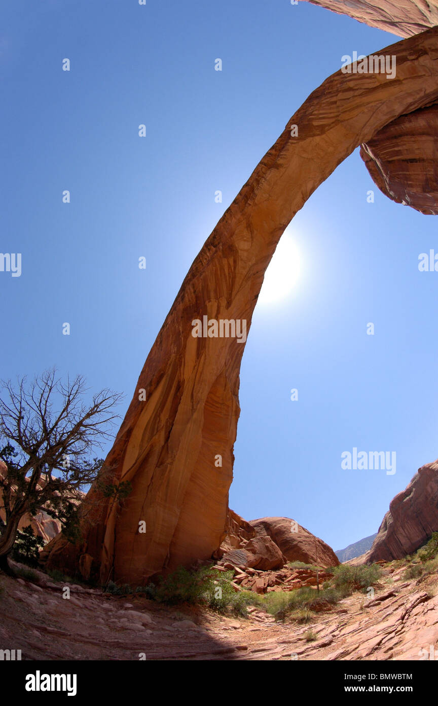 Rainbow Bridge National Monument Arizona Utah Stock Photo - Alamy