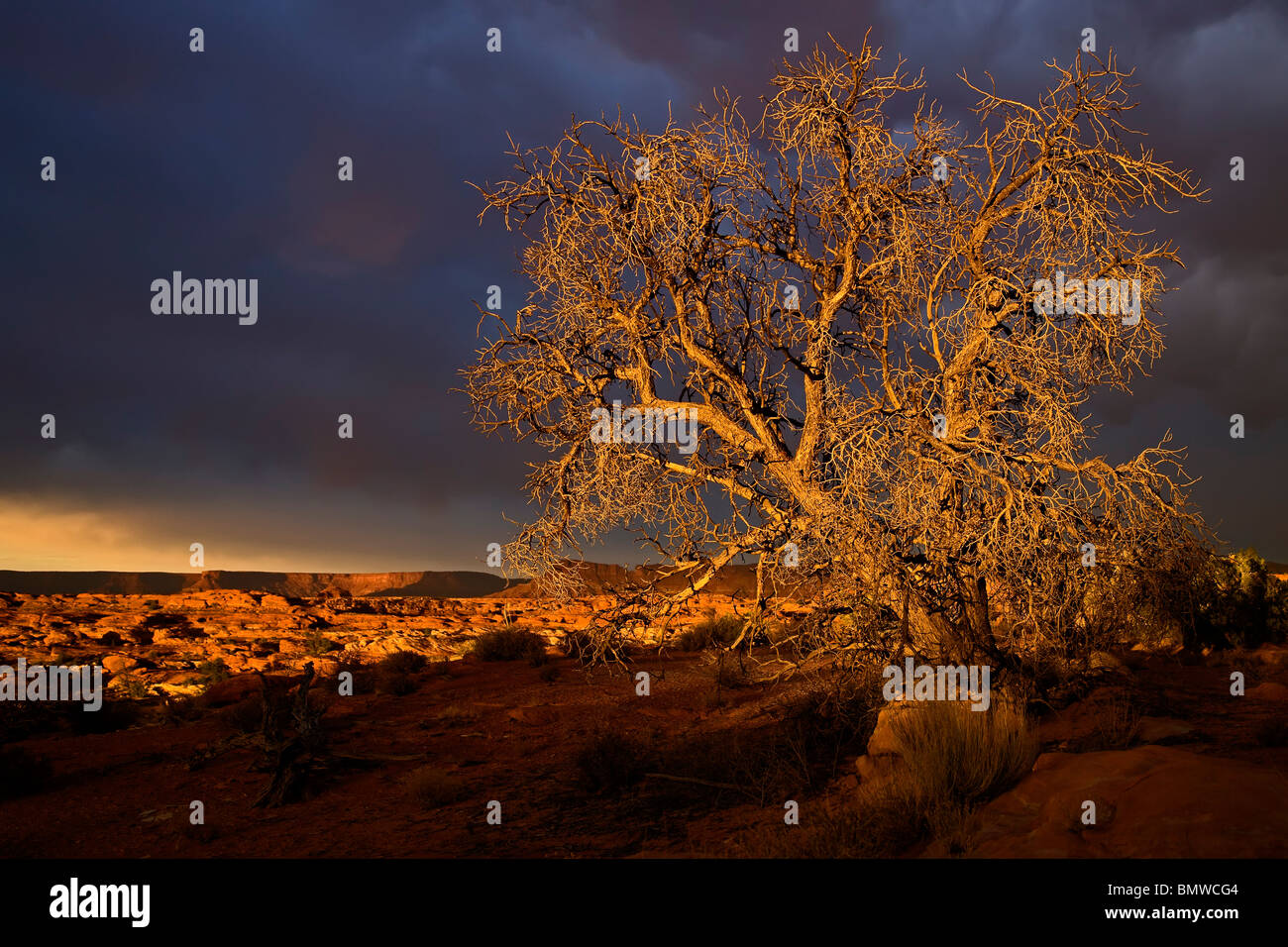 Colorado plateau at sunset Stock Photo - Alamy