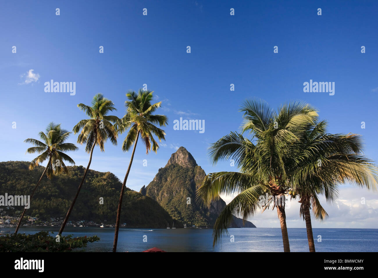 Caribbean, St Lucia, Petit Piton and Soufriere Bay Stock Photo - Alamy