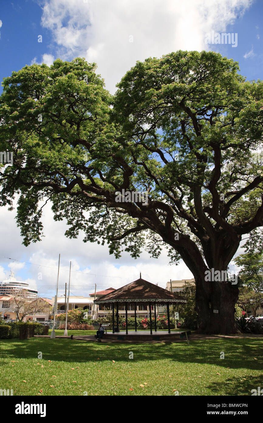Caribbean, St Lucia, Castries Town, Derek Walcott Square Stock Photo ...