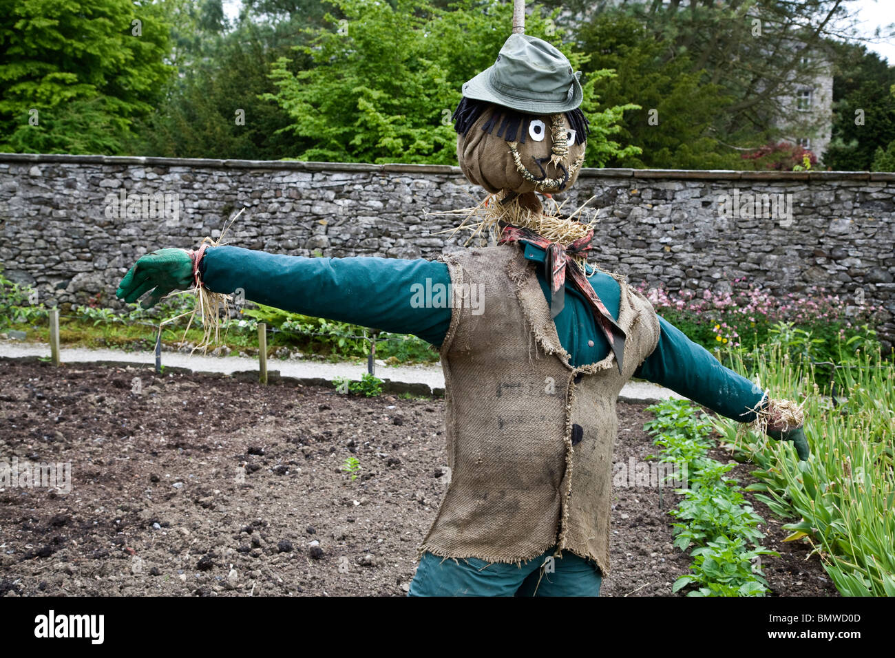Scarecrow hi-res stock photography and images - Alamy