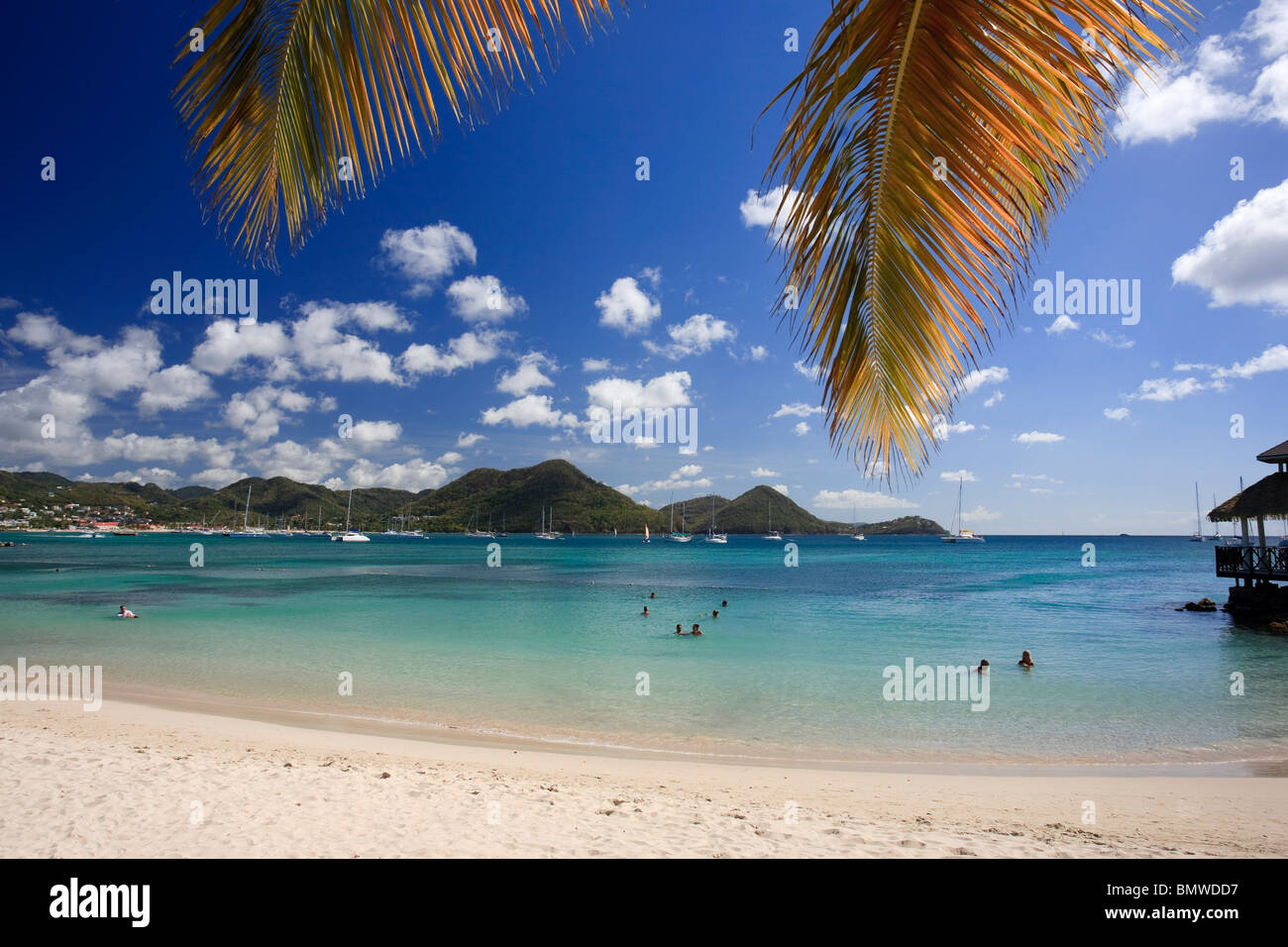Caribbean, St Lucia, Rodney Bay, Sandals Beach Resort Stock Photo - Alamy
