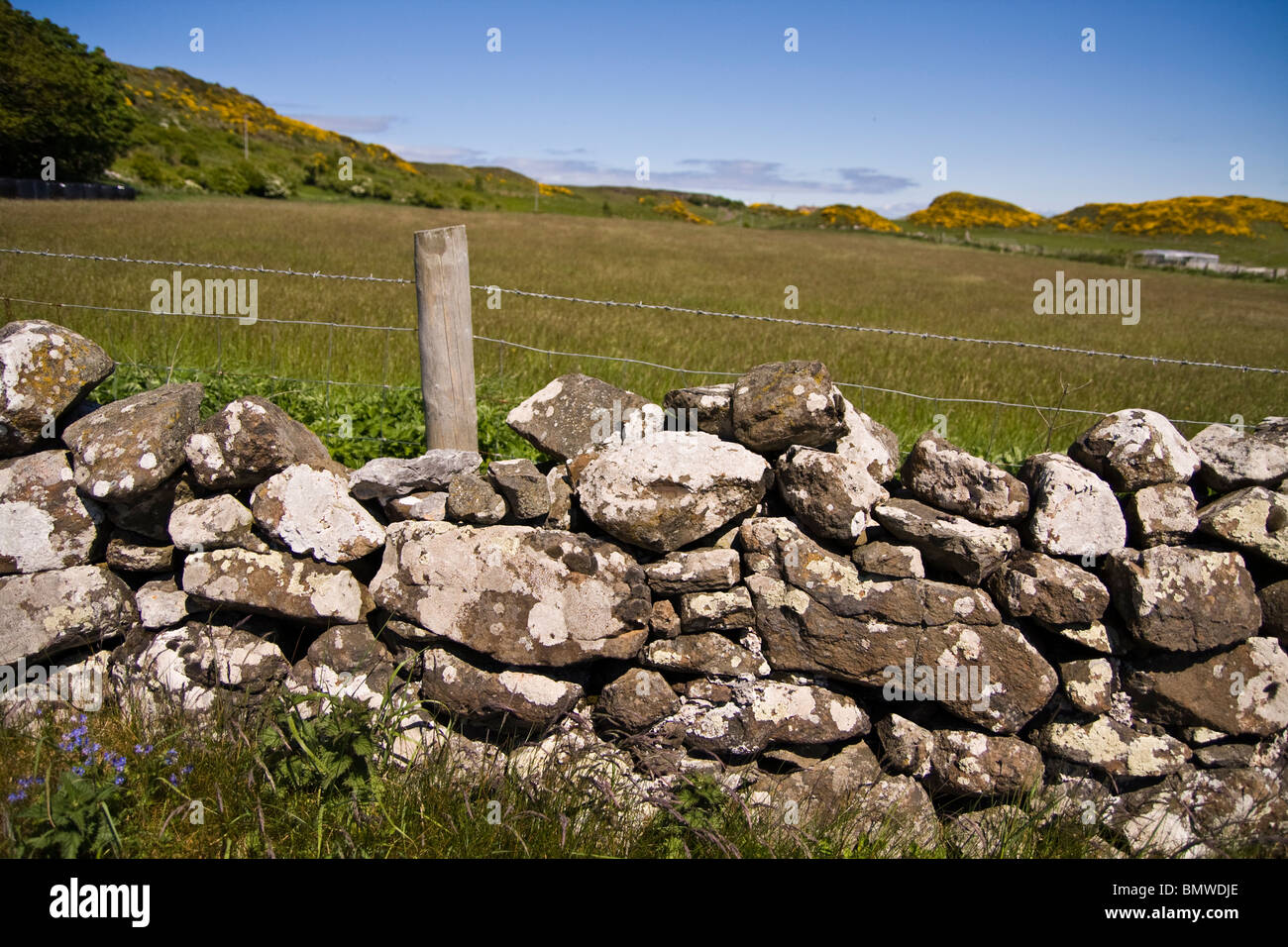 Traditional dry stone wall with field in background Stock Photo - Alamy