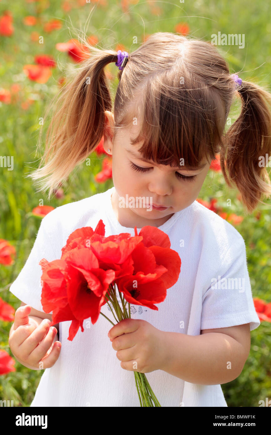 Little girl with poppies Stock Photo - Alamy