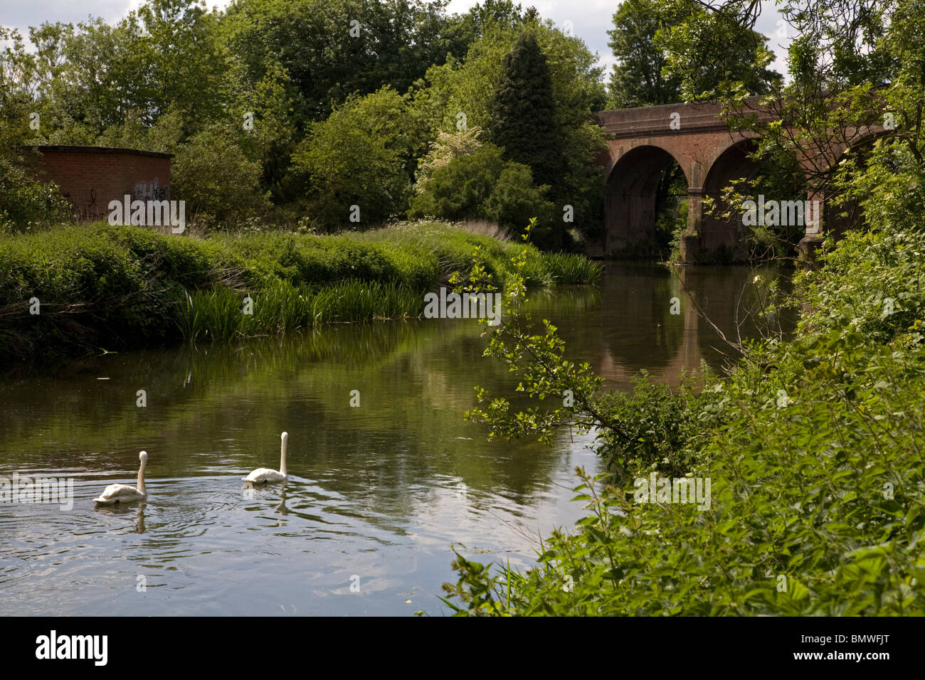 River Mole Leatherhead Surrey England Stock Photo - Alamy