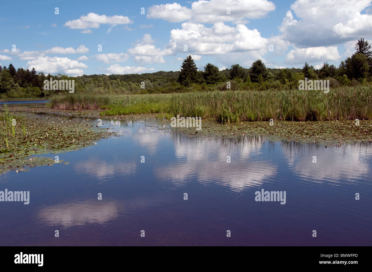 Mendon ponds county park hi-res stock photography and images - Alamy