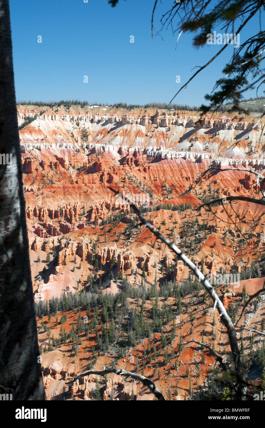 Multi color cliffs seen through a break in the cedar forest Stock Photo ...