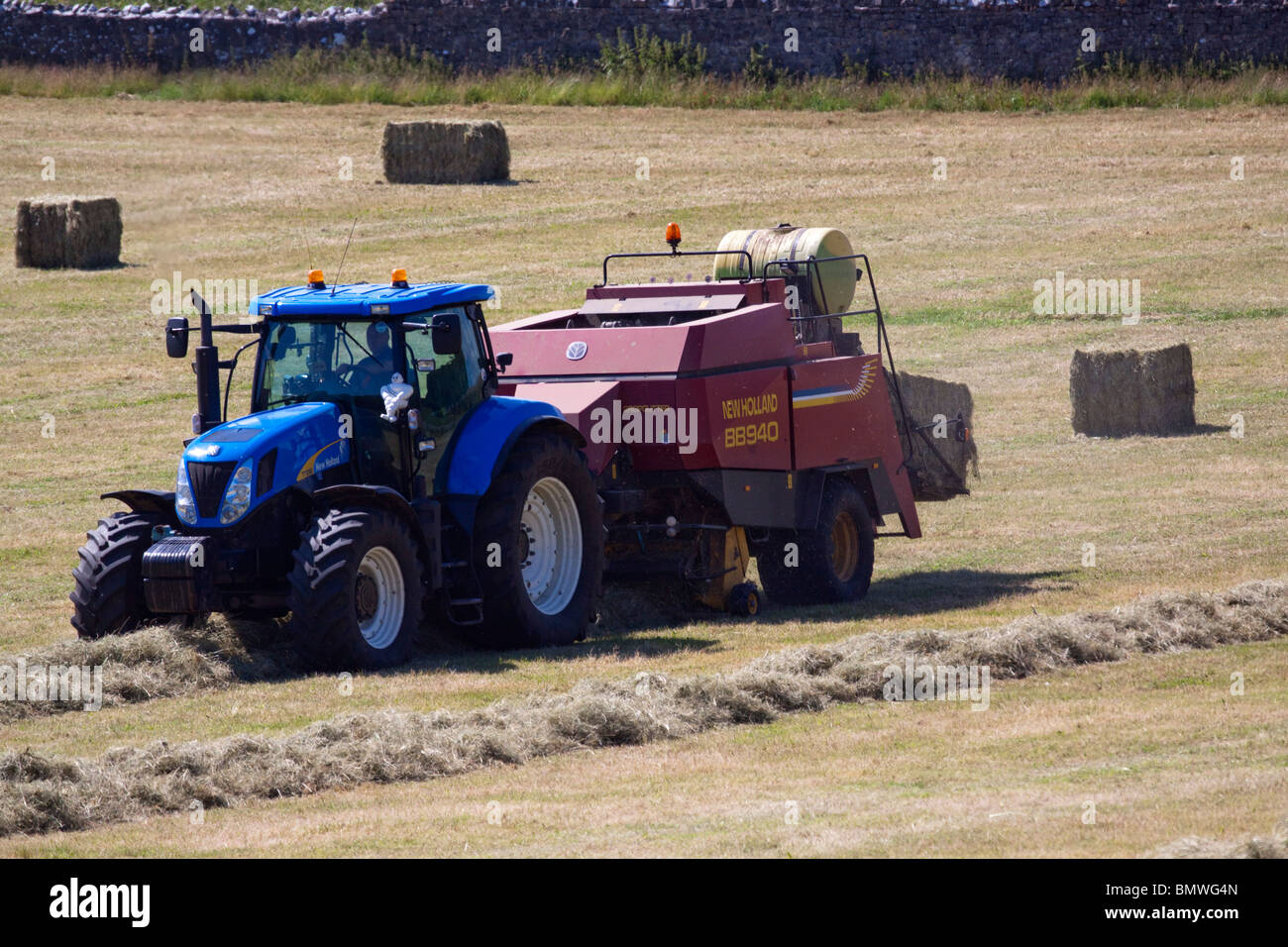 Blue Farm tractor and hay baler collecting hay on windrows, Farming in ...