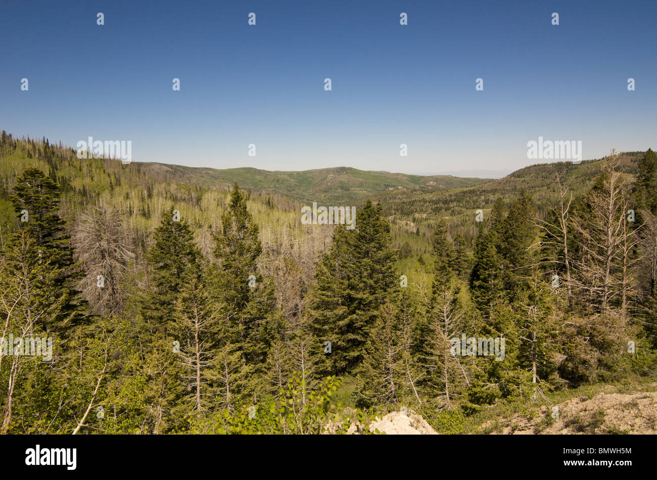 Cedar breaks mountain hi-res stock photography and images - Alamy