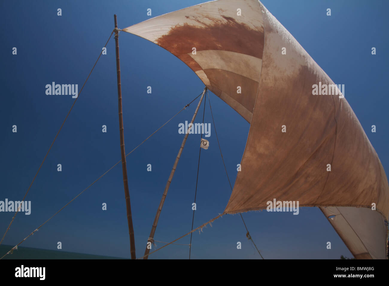 oruva's sail on a negombo beach Stock Photo - Alamy