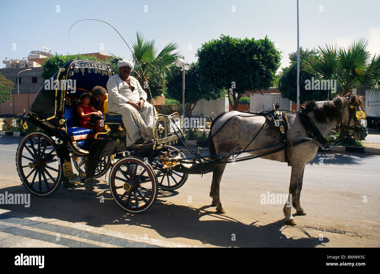 Caleche hi-res stock photography and images - Alamy