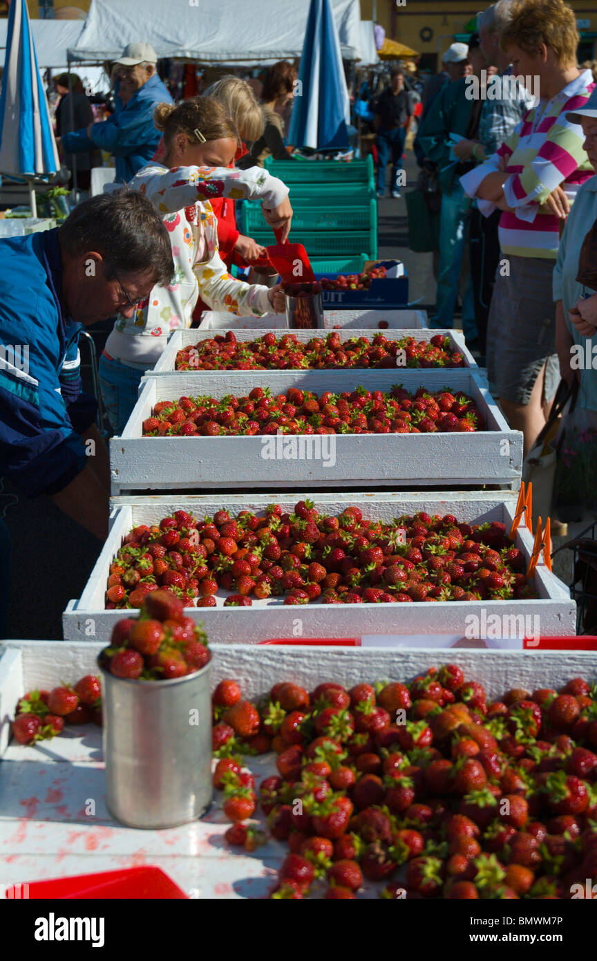 Strawberry sellers Kauppatori market square Old Rauma western Finland ...