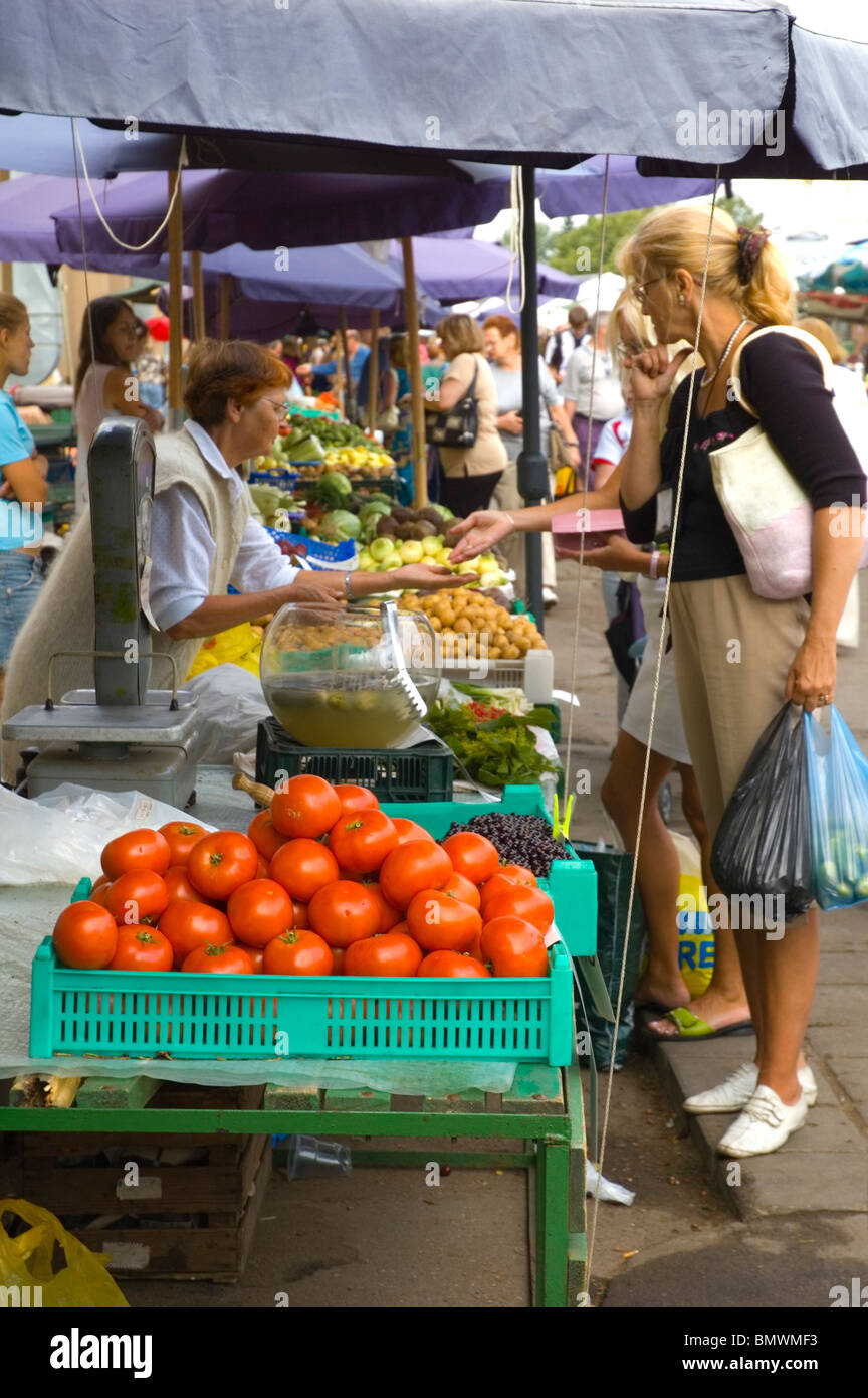 Centraltirgus the central market Riga Latvia Europe Stock Photo - Alamy
