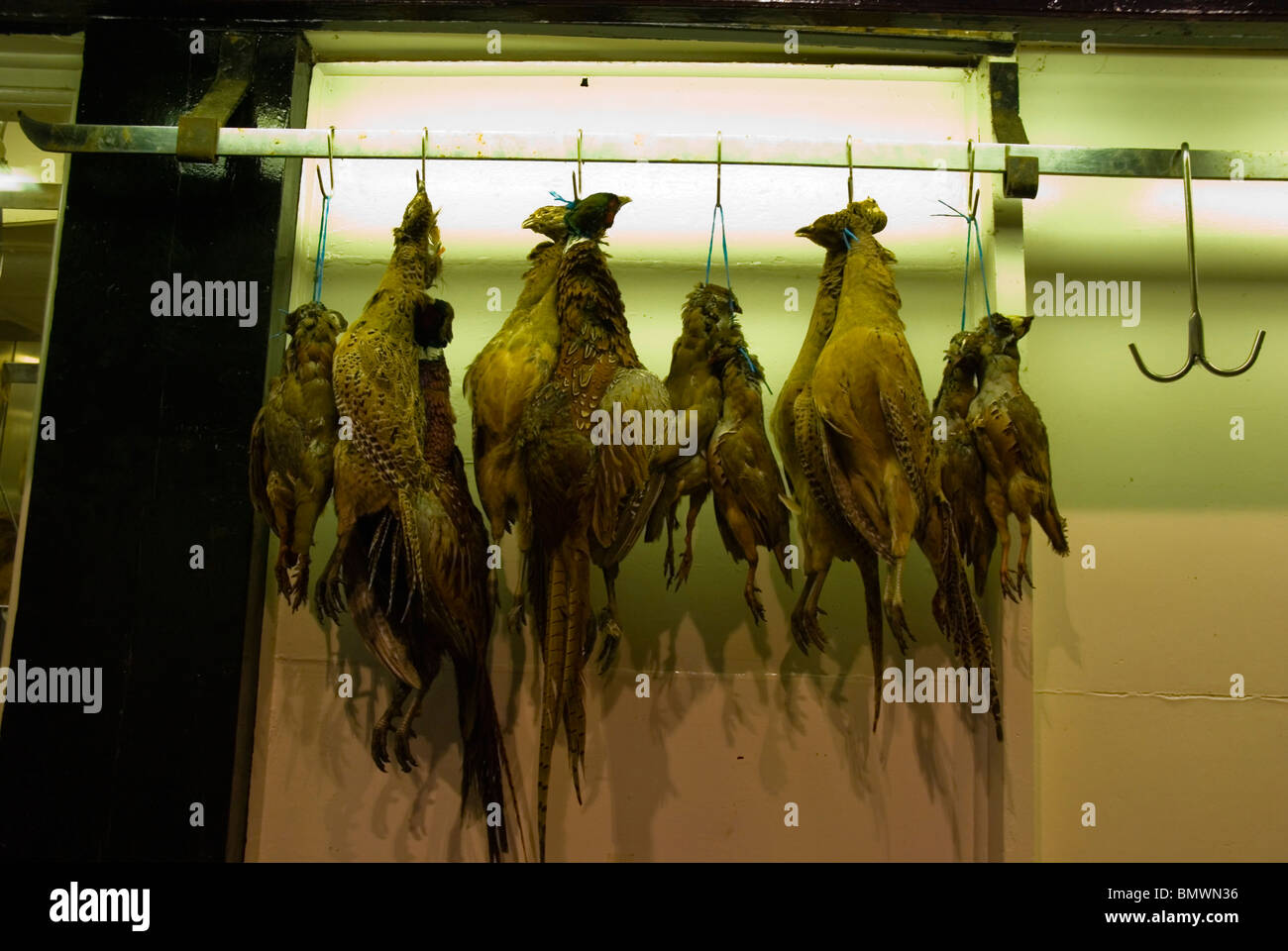 Hanging pheasants game birds hi-res stock photography and images - Alamy
