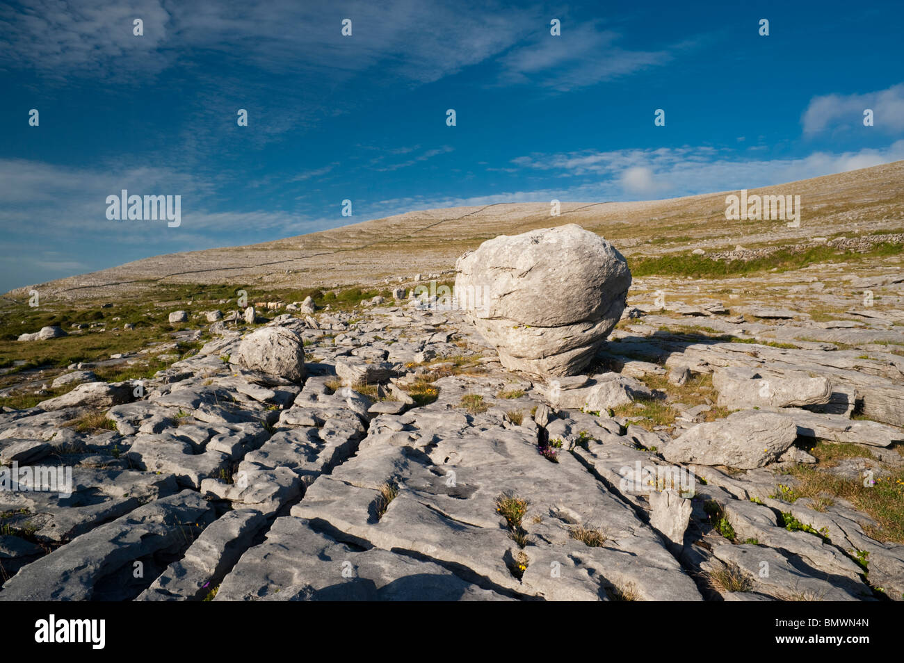 Erratic boulders, deposited by glaciers, strewn across the limestone ...