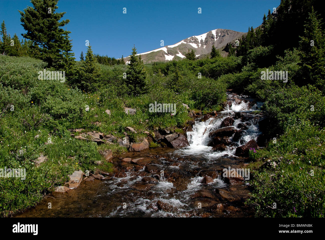 High Alpine Creek from Shelf Lake Trail Pike National Forest Colorado ...