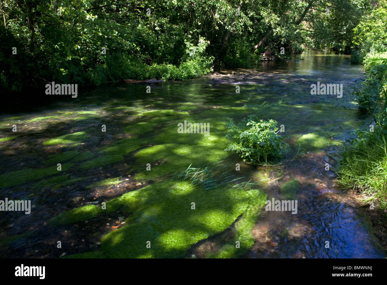 River Mole Leatherhead Surrey England Stock Photo - Alamy