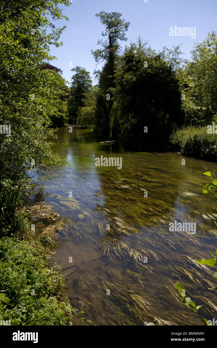 River mole leatherhead surrey england hi-res stock photography and ...