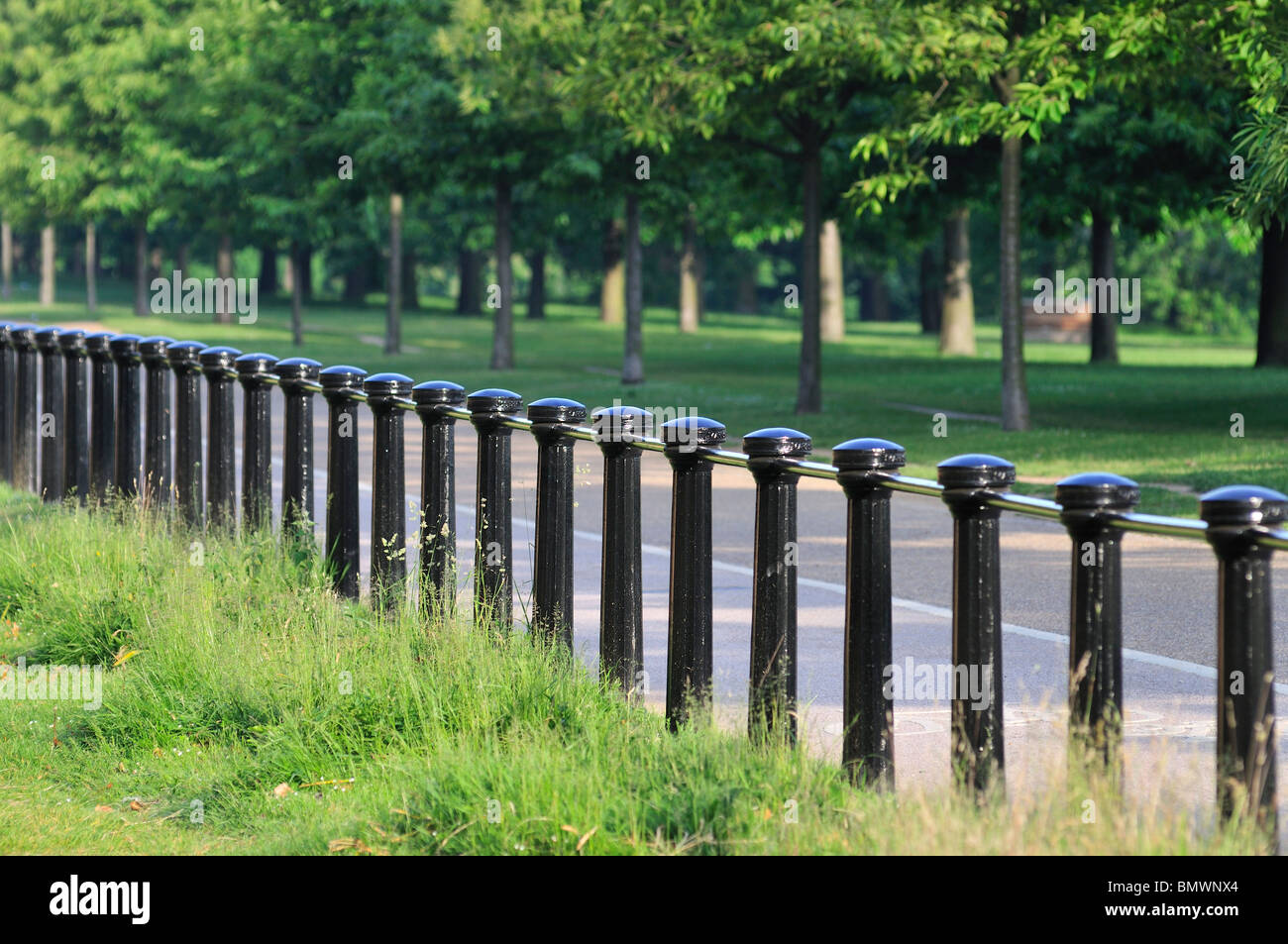 Rotten Row, Hyde Park, London, United Kingdom Stock Photo - Alamy