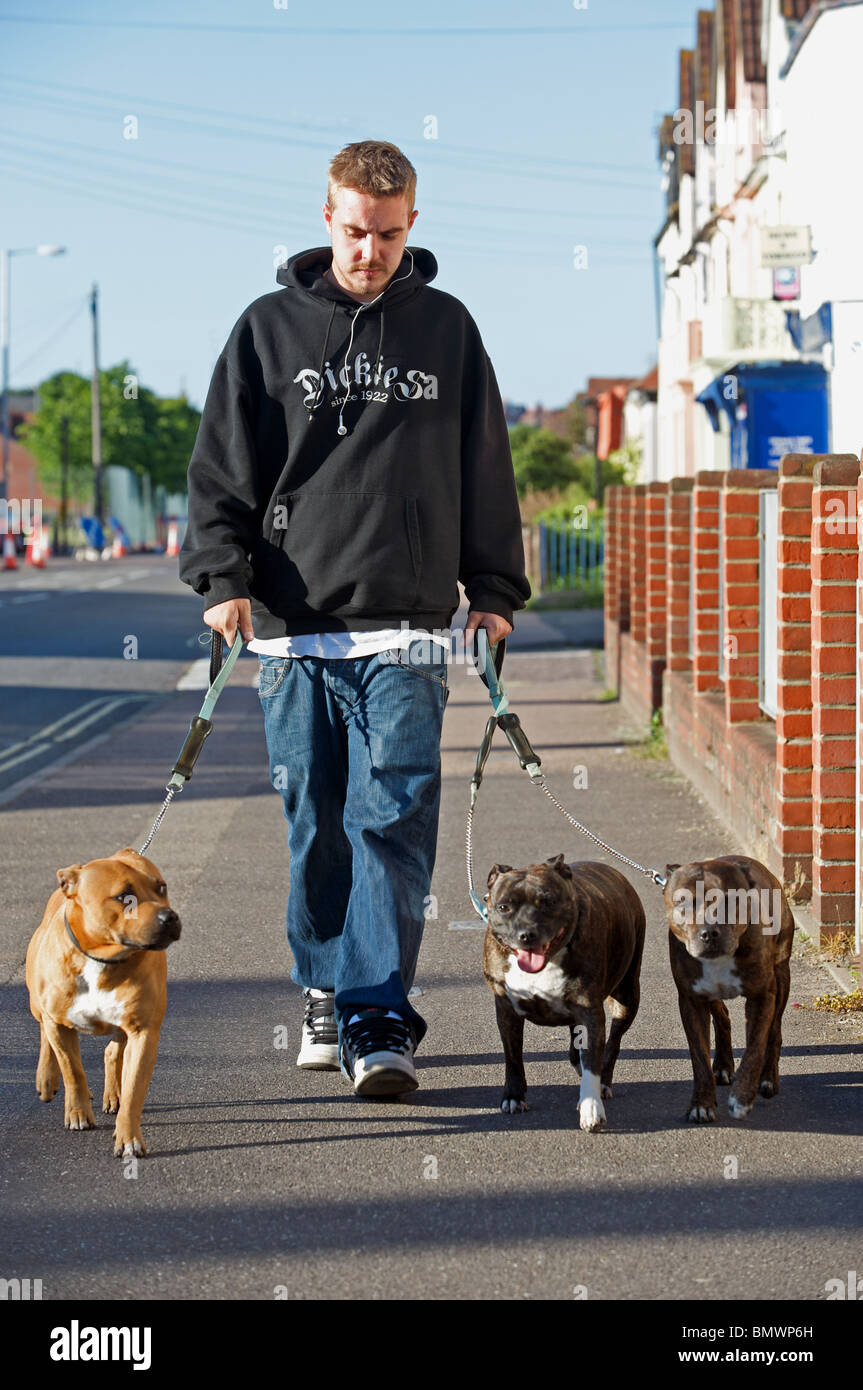 Dangerous animals act uk hi-res stock photography and images - Alamy