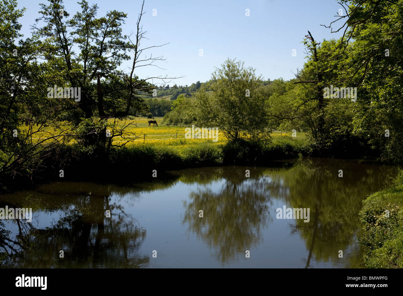 River Mole Leatherhead Surrey England Stock Photo - Alamy