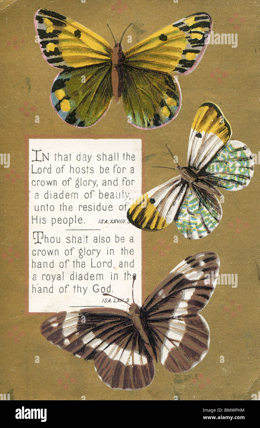 Butterflies and Prayer Stock Photo - Alamy
