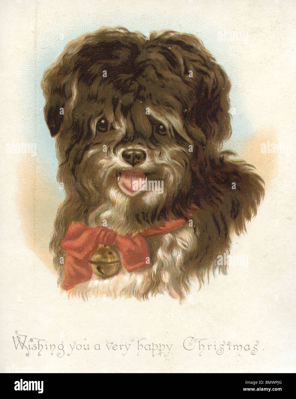 Bell dog hi-res stock photography and images - Alamy