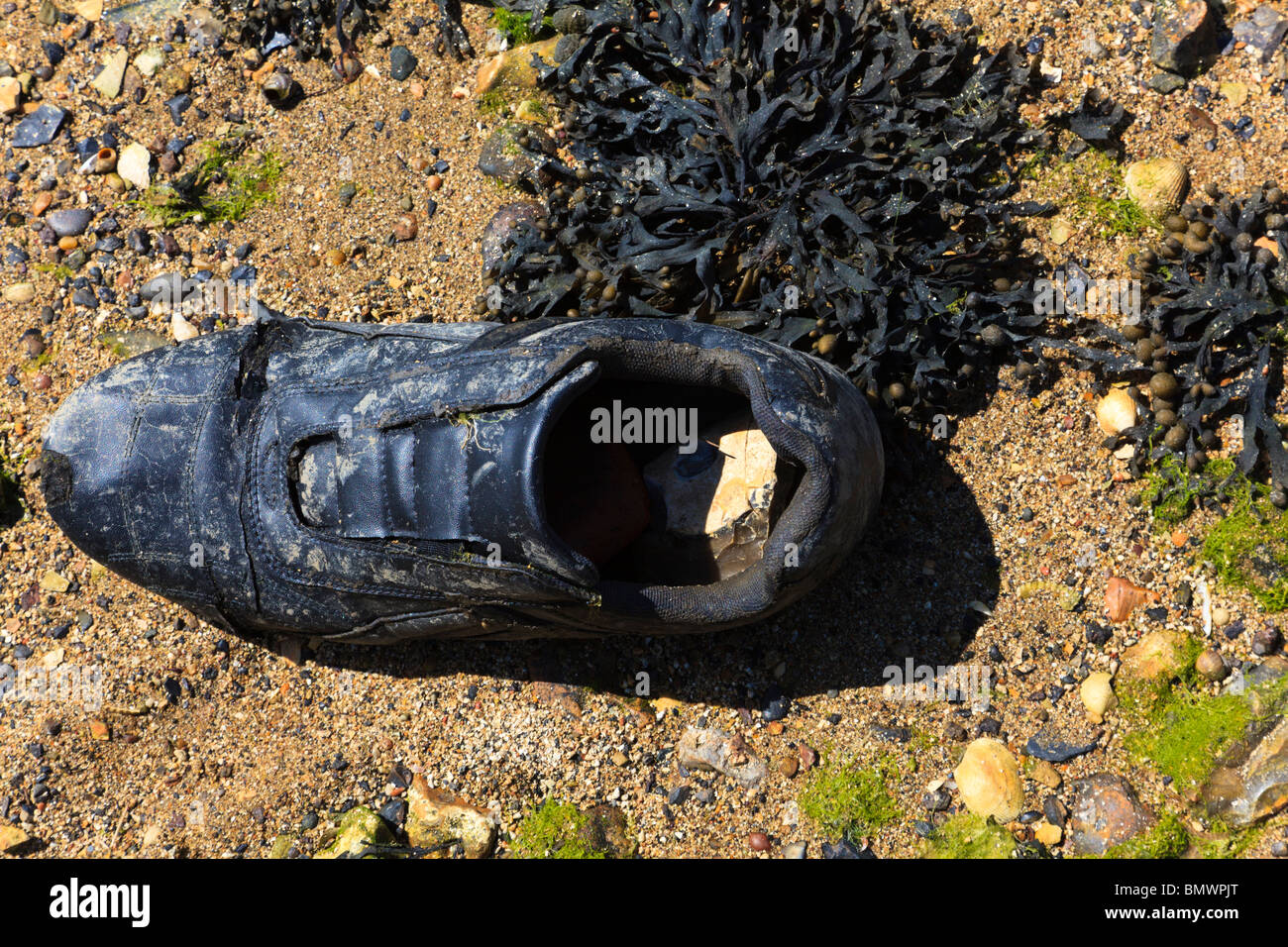 Washed up shoe on the beach hi-res stock photography and images - Alamy