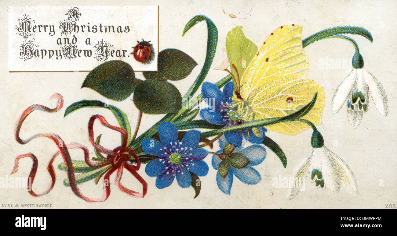 Card butterfly hi-res stock photography and images - Alamy