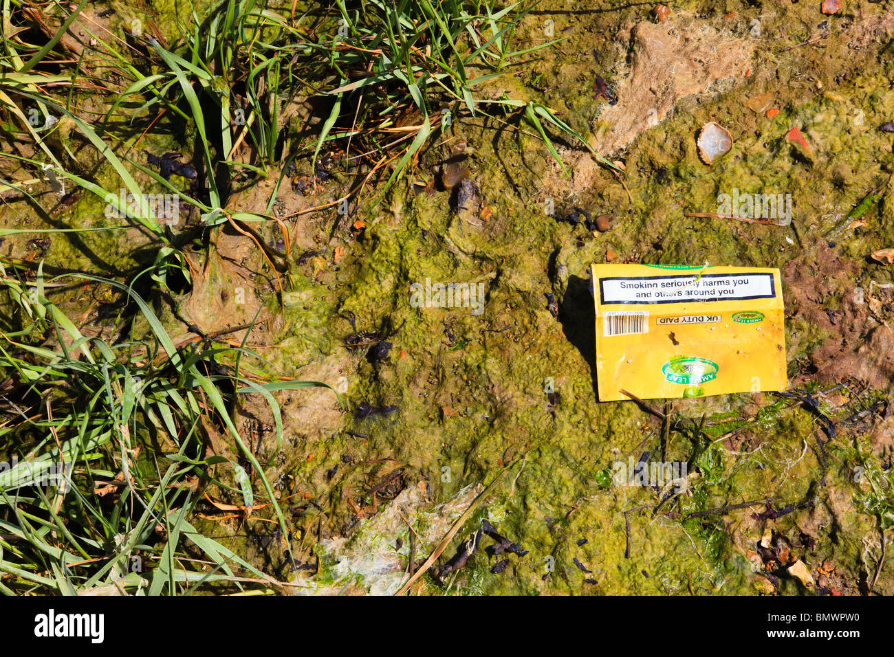 Tobacco packet hi-res stock photography and images - Alamy