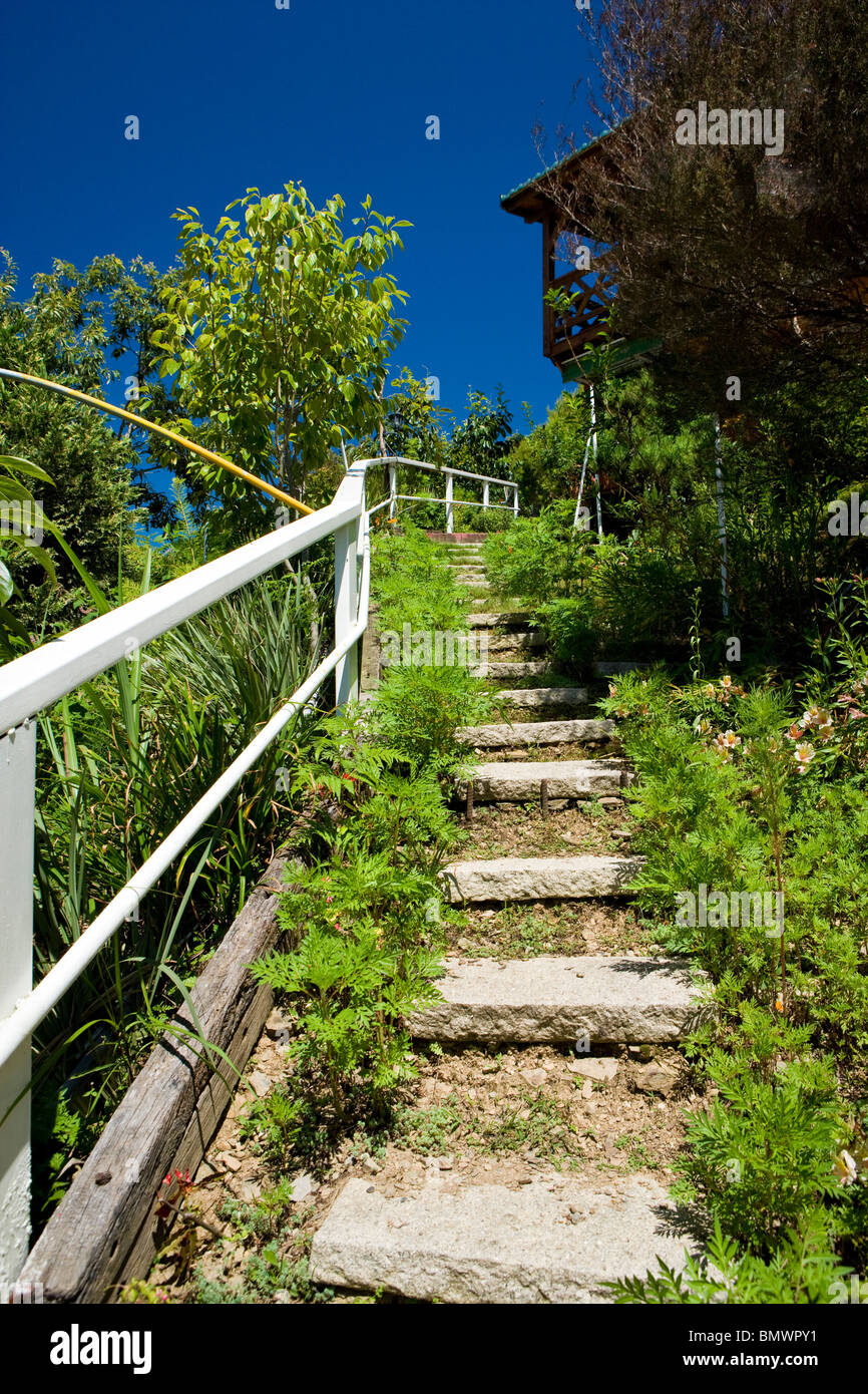 An uphill path Stock Photo - Alamy
