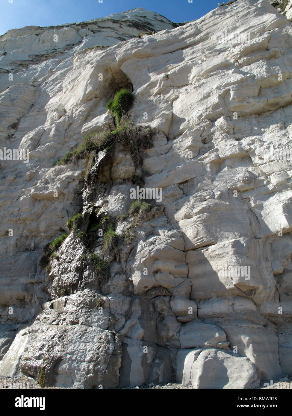 Seeping hi-res stock photography and images - Alamy