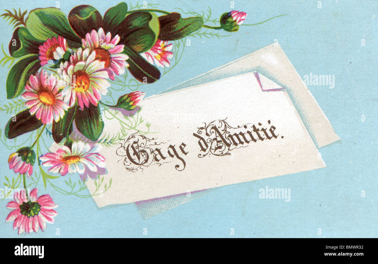 Old fashioned daisies flowers hi-res stock photography and images - Alamy